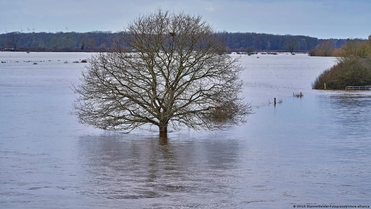 How flooding affects the environment | Times News